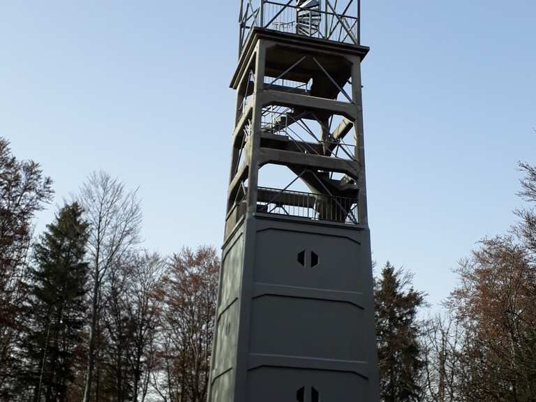 Aussichtsturm Wisenberg: Wanderungen und Rundwege | komoot