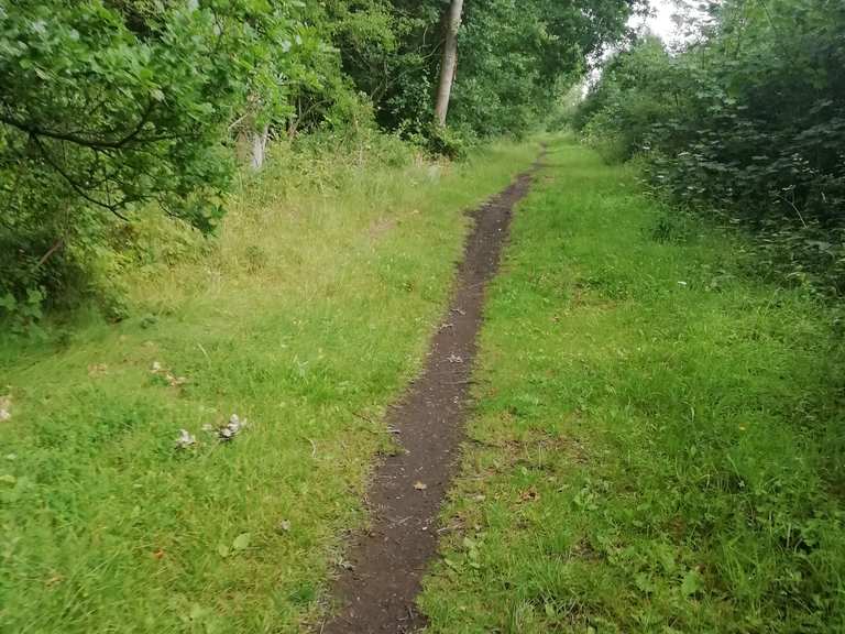 Bubwith Rail trail Cycle Routes and Map | Komoot