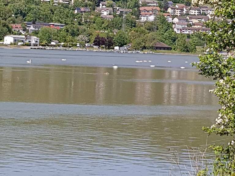 Klingnauer Stausee : Radtouren und Radwege | komoot