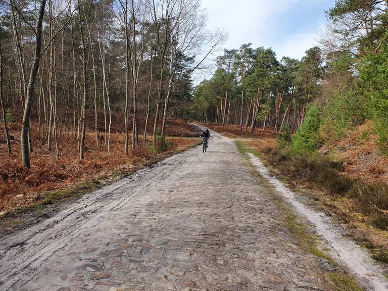 Route pavée dans la forêt d'Ermenonville Cycle Routes and Map | Komoot
