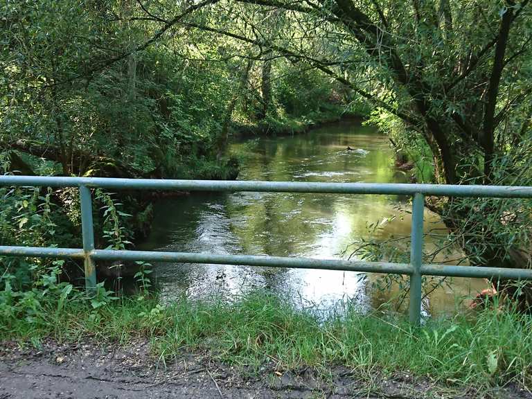 Heiligmannsee bei Jettingen/Scheppach - Mountain Bike Trails & Tracks ...