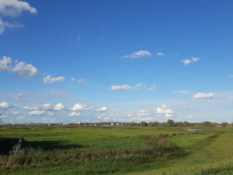 Scheldedijk Rupelmonde Routes for Walking and Hiking | Komoot
