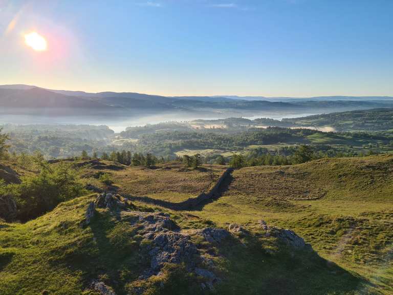 Tarn Hows and Black Fell Circular | hike | Komoot