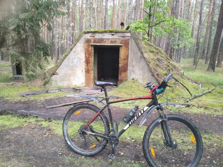 Bunker zwischen Sielow und Briesen - Mountain Bike Trails & Tracks | Komoot