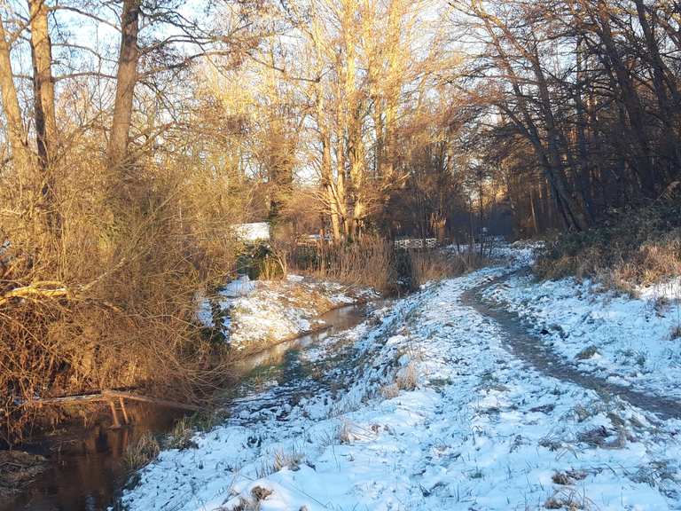 Weg entlang des Althöfer Bachs – Wanderungen & Anfahrt | Komoot
