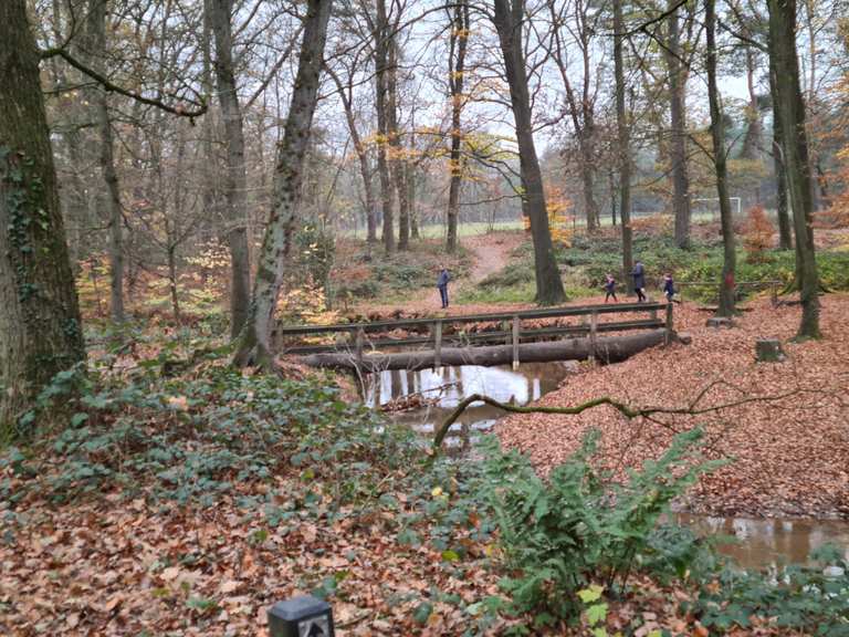 Boomstam brug wandelroutes en hikes | Komoot