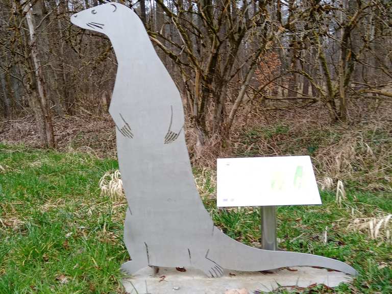 Otter Trail Station 5 – Barren Waterway – Hiking & Cycling Routes | Komoot