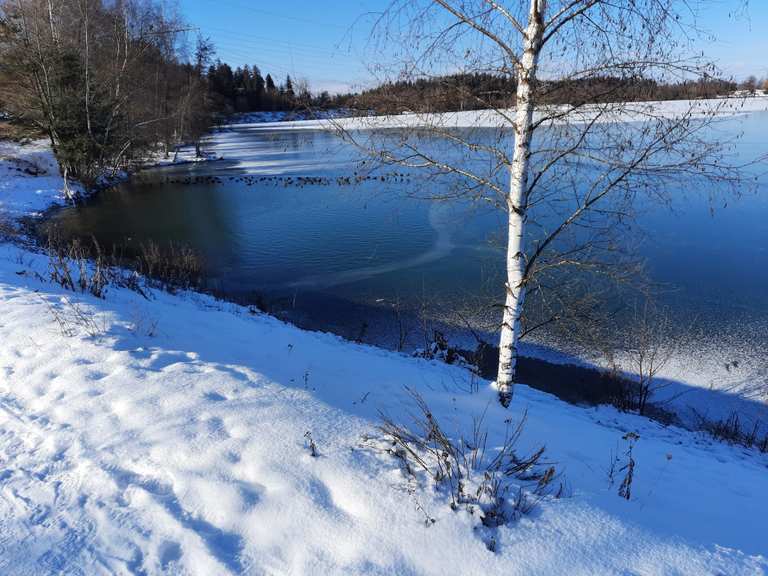 Riedsee bei Pfohren – Schöner Uferweg am Riedsee Runde von Pfohren ...