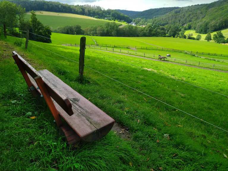 Bank mit schöner Aussicht: Wanderungen und Rundwege | komoot
