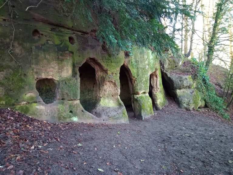 The Hermitage – Hopwell Hall Farm Alpakas Runde von Dale Abbey ...