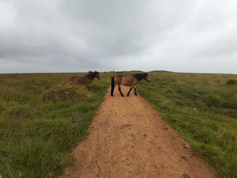 Beacon Batch Routes for Walking and Hiking | Komoot