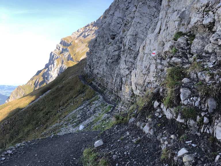 Schmaler Weg: Touren und Karten | komoot