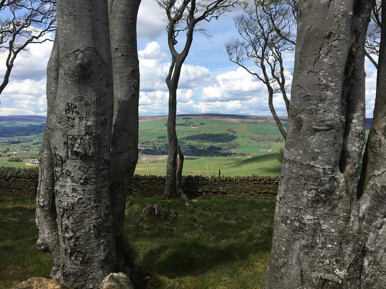 Five Pikes and the Elephant Trees loop from White Kirkley — North ...