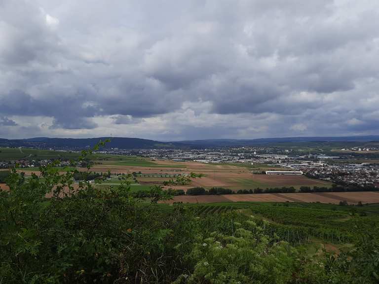Steinskulpturen auf dem Bosenberg: Wanderungen und Rundwege | komoot