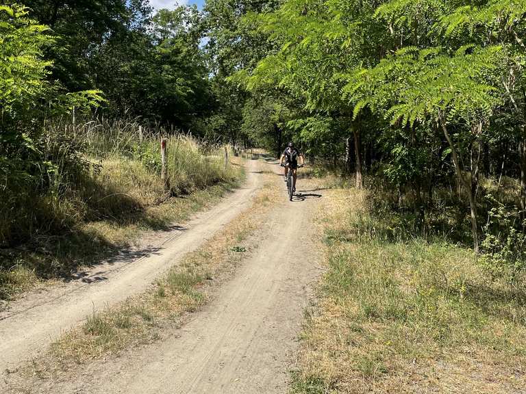 Sandweg in der Döberitzer Heide : Radtouren und Radwege | komoot