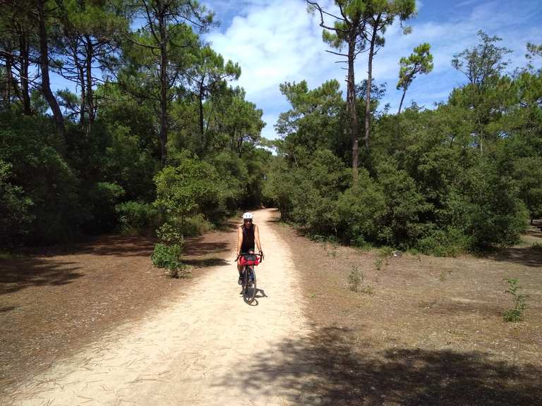 Piste cyclable - Forêt domaniale des Pays-de-Monts - Itinéraires vélo ...
