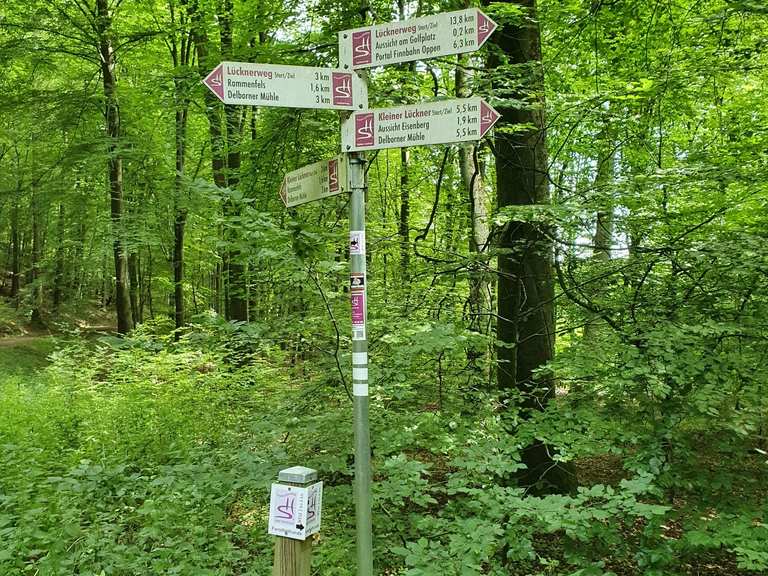 Glockensage von Nunkirchen: Wanderungen und Rundwege | komoot
