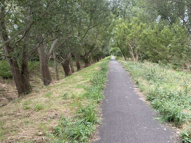 Froser See: Mountainbike-Touren und -Trails | komoot