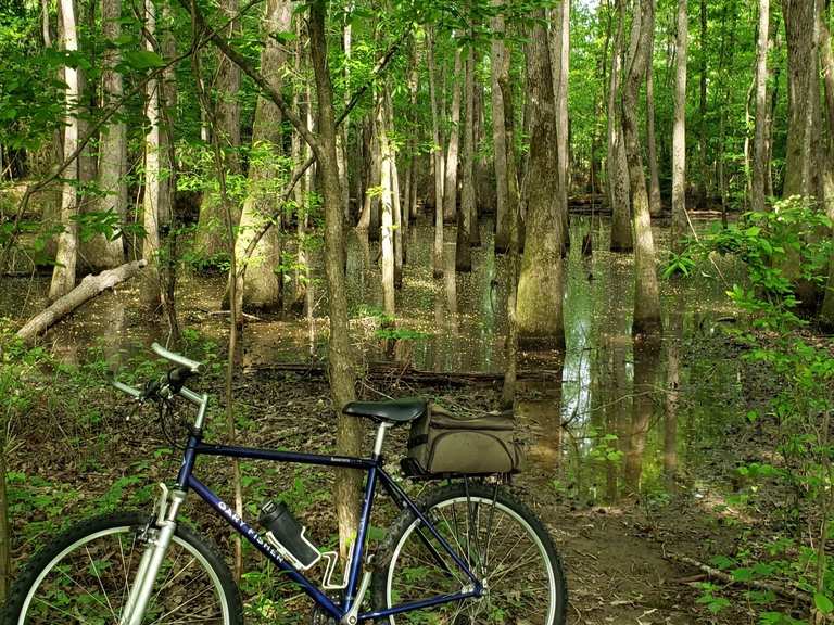 Petal River Park Trail loop — Petal River Mountain Bike Park | マウンテンバイク ...