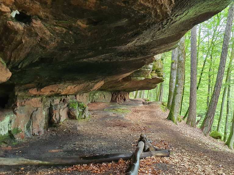 Fleckstein: Wanderungen und Rundwege | komoot