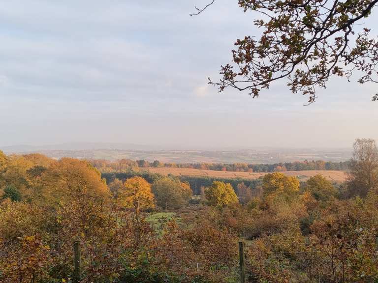 Kinver Edge Routes for Walking and Hiking | Komoot