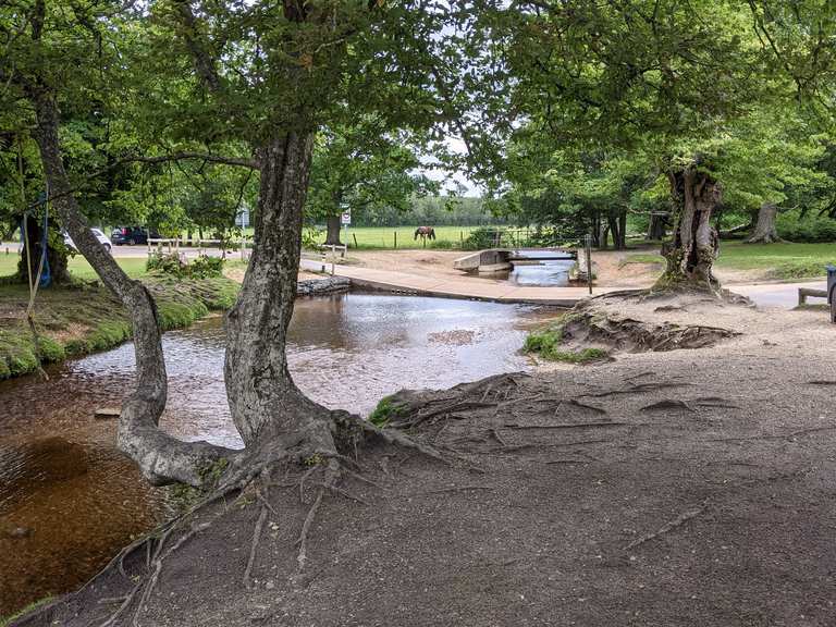 Brockenhurst loop — New Forest National Park | road ride | Komoot