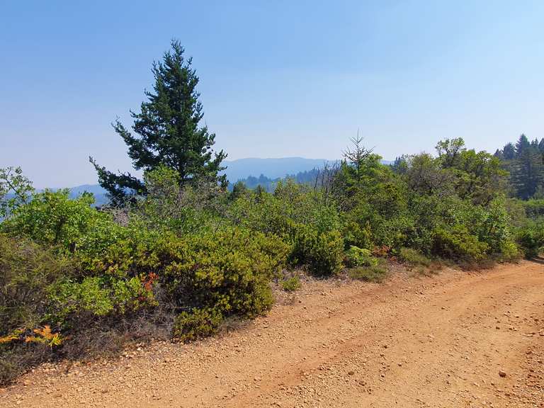 Bolinas Ridge Trail 🚵 Mountain Bike Trails & Tracks | Komoot