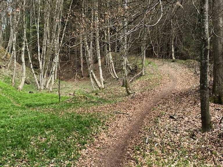 Der Burgstall Hattenberg: Wanderungen und Rundwege | komoot