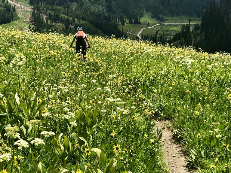 403 Trail – Gunnison National Forest Você quer explorar o 403 Trail na Floresta Nacional de ...