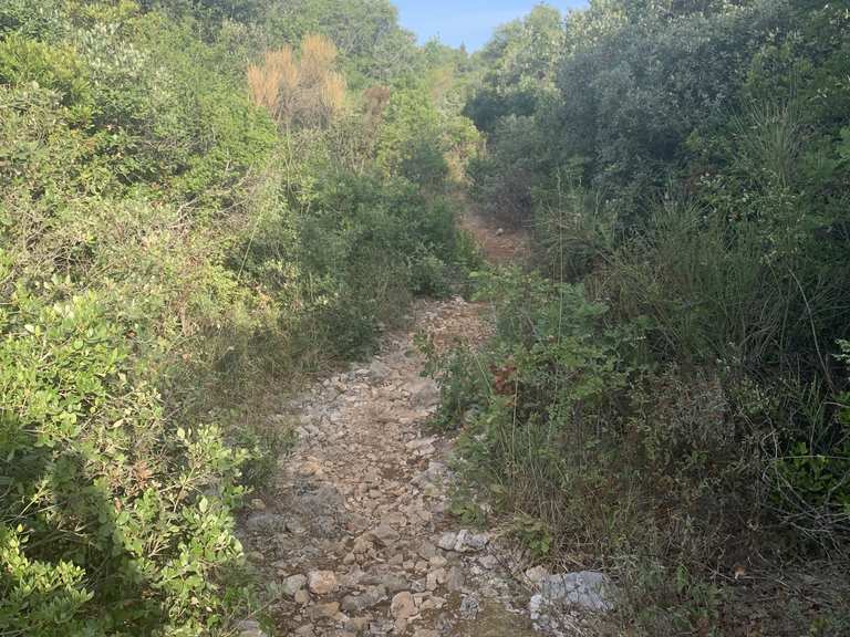 Sweet trail by the sea: Mountainbike-Touren und -Trails | komoot