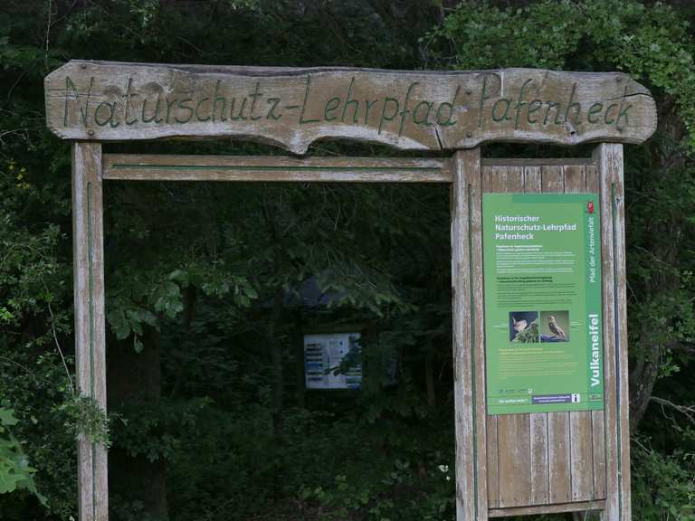 Darscheider Drees – Kaiserstein Runde von Darscheid | Wanderung | Komoot