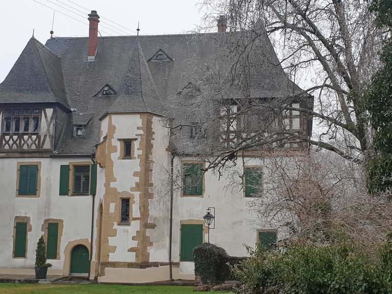 Schloss Allenbach Routes for Walking and Hiking | Komoot