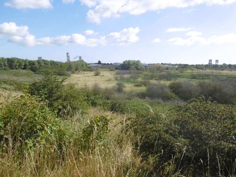 Portrack Marsh Nature Reserve Routes for Walking and Hiking | Komoot