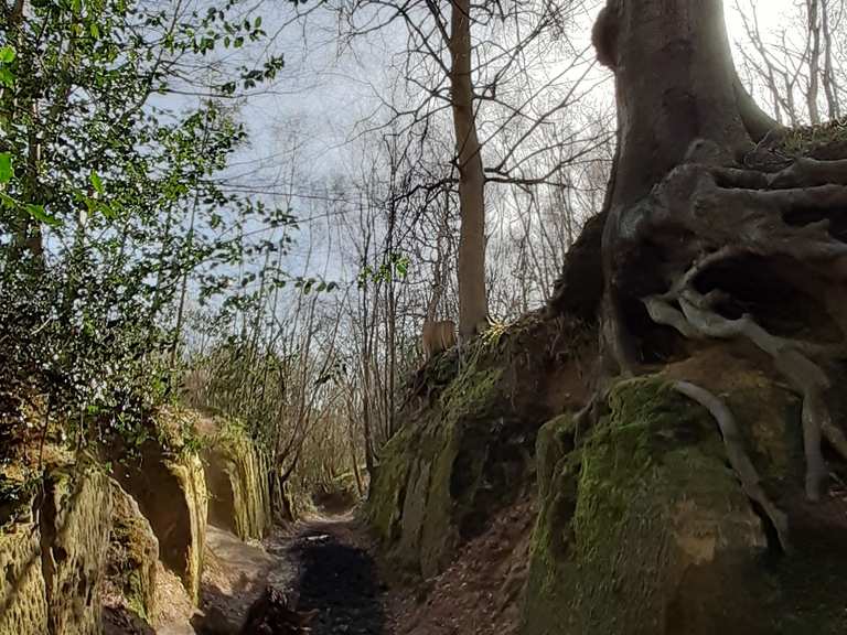 Hill Hoath ancient holloway (bridleway through rocks) - Mountain Bike ...
