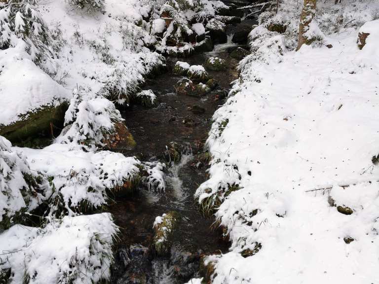 Am Rollwasserbach entlang Routes for Walking and Hiking | Komoot