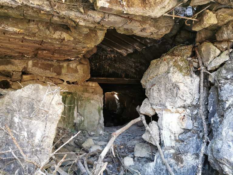 Westwall-Bunker 121a (Regelbau 107): Wanderungen und Rundwege | komoot