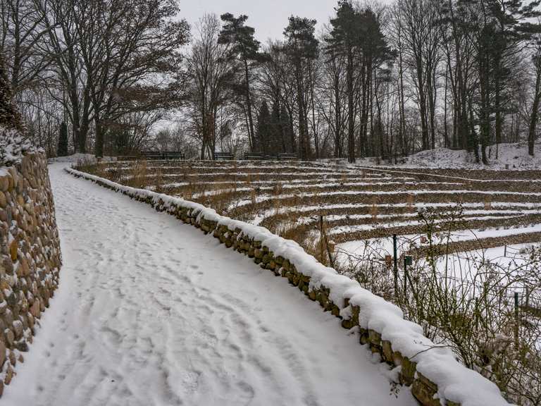 Michaelshof in Sammatz : Radtouren und Radwege | komoot