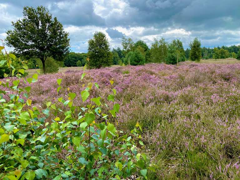 St Anthonis bos en hei : Radtouren und Radwege | komoot