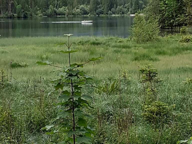 Schöner Pfad am Fluss entlang – Wasserläufe im Klausbachtal Runde von ...