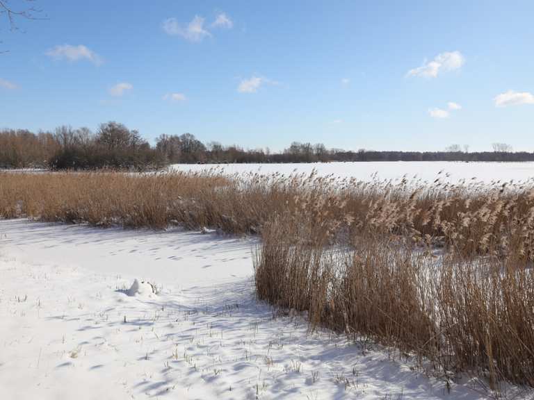 Aussichtspunkt Ilkerbruch Nord-West (Station 5): Wanderungen und ...