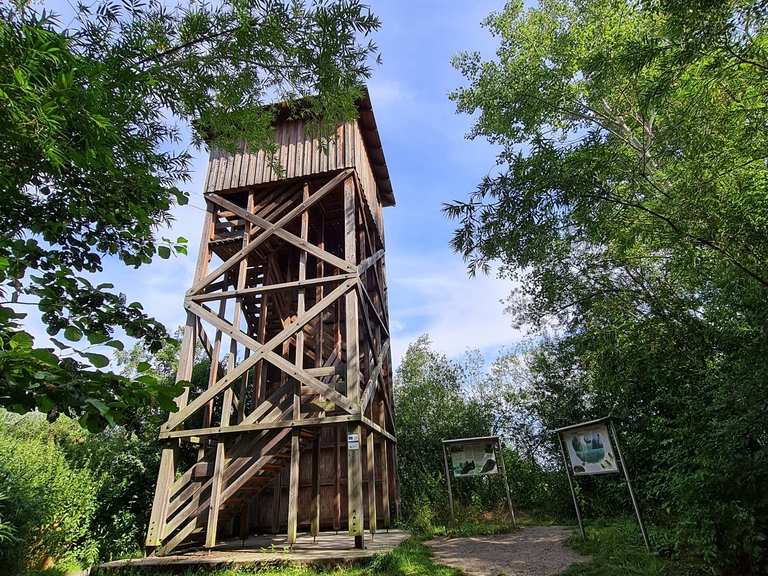 Aussichtsturm Ilkerbruch Routes for Walking and Hiking | Komoot