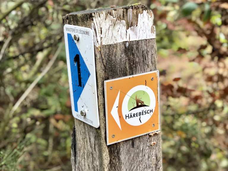 Bosque Härebësch: Rutas de senderismo y caminatas | Komoot