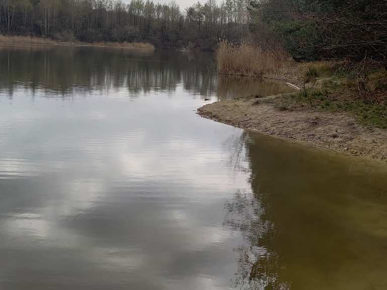 Meer Natuurgebied Rode Beek-Heringsbosch wandelroutes en hikes | Komoot
