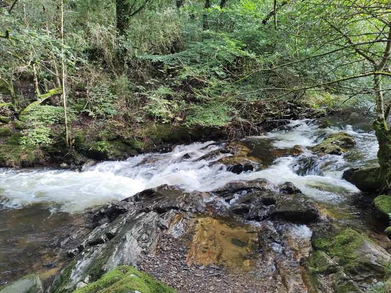 East Okement River Walk - Routes for Walking and Hiking | Komoot