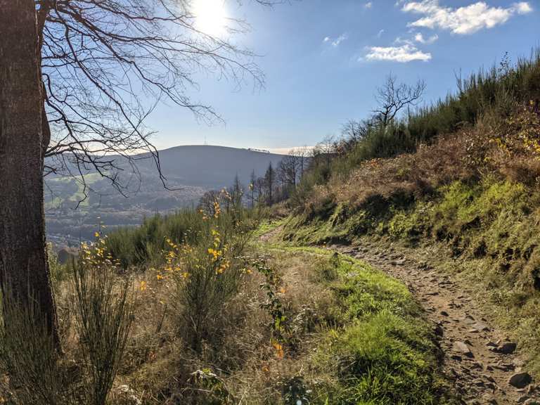 Twrch red trail — Cwmcarn Trail Centre | mountain bike ride | Komoot