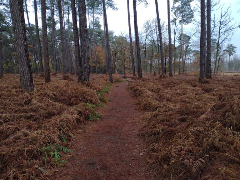 Droge heide - herstelgebied wandelroutes en hikes | Komoot