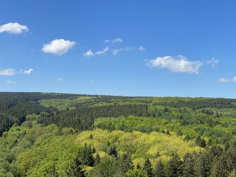 Aussicht auf den Hürtgenwald – Blick in den Hürtgenwald Rondje vanuit ...