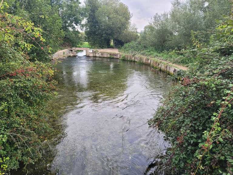 Compton lock swimming spot Routes for Walking and Hiking | Komoot