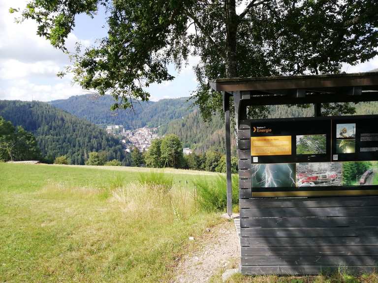 Blick nach Triberg Routes for Walking and Hiking | Komoot