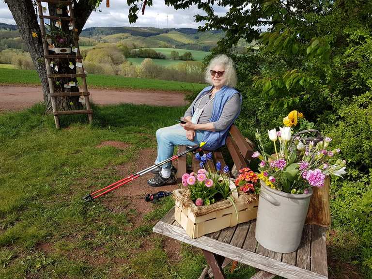 Reidelbach mit Blick auf Kirchweg: Wanderungen und Rundwege | komoot